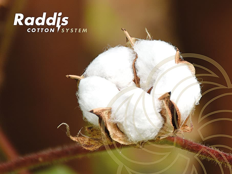 Ein Meilenstein - toys-kids.de